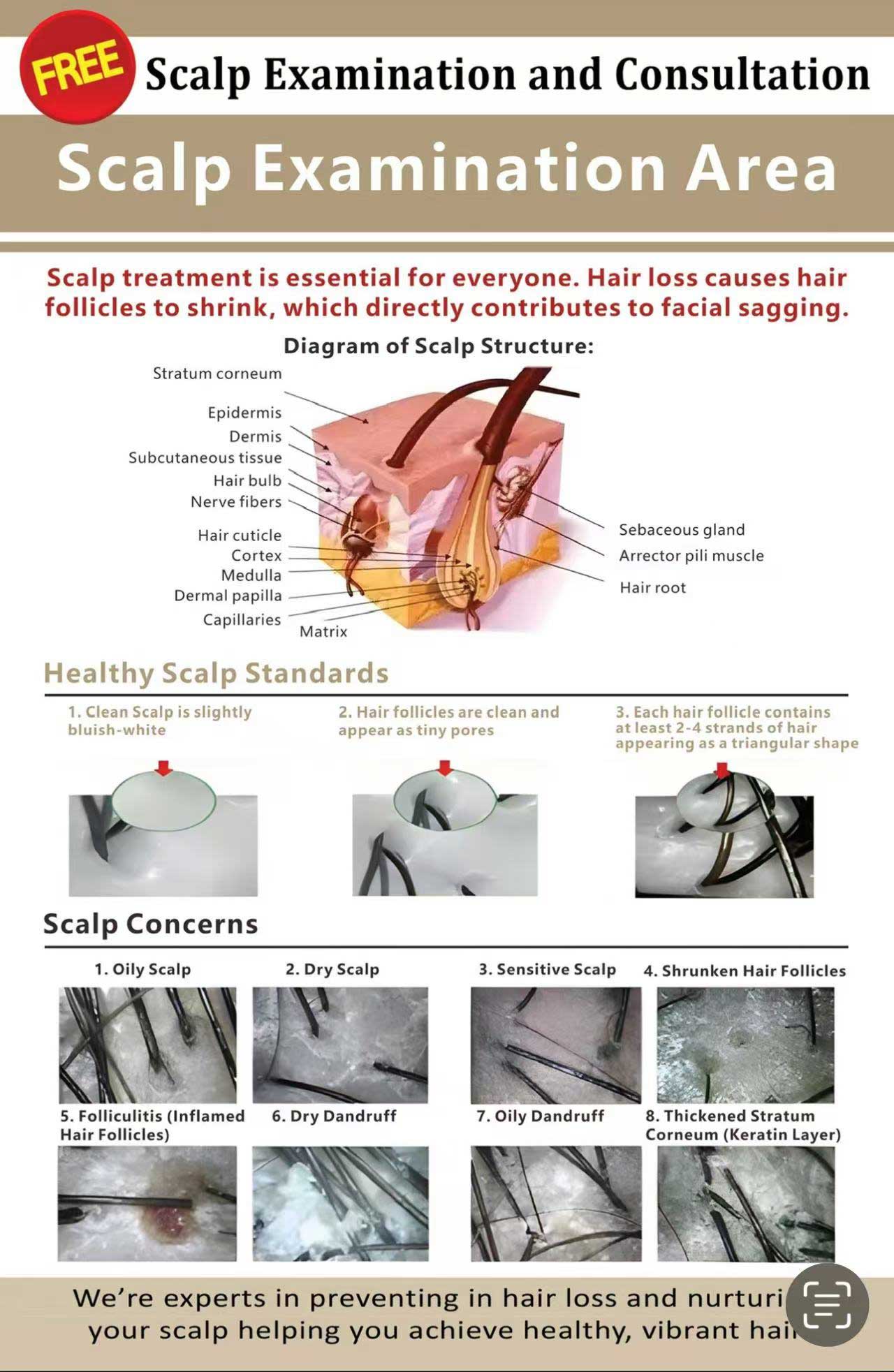 Keravive Scalp Treatment – Beauty and Beast Studio